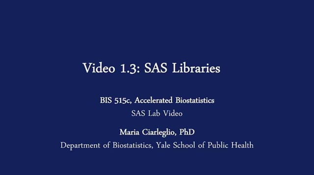 Video 3: SAS Libraries